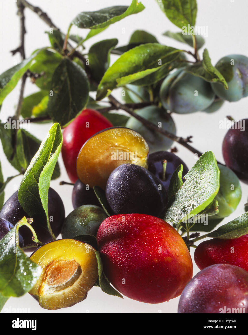 Pflaumen hi-res stock photography and images - Alamy