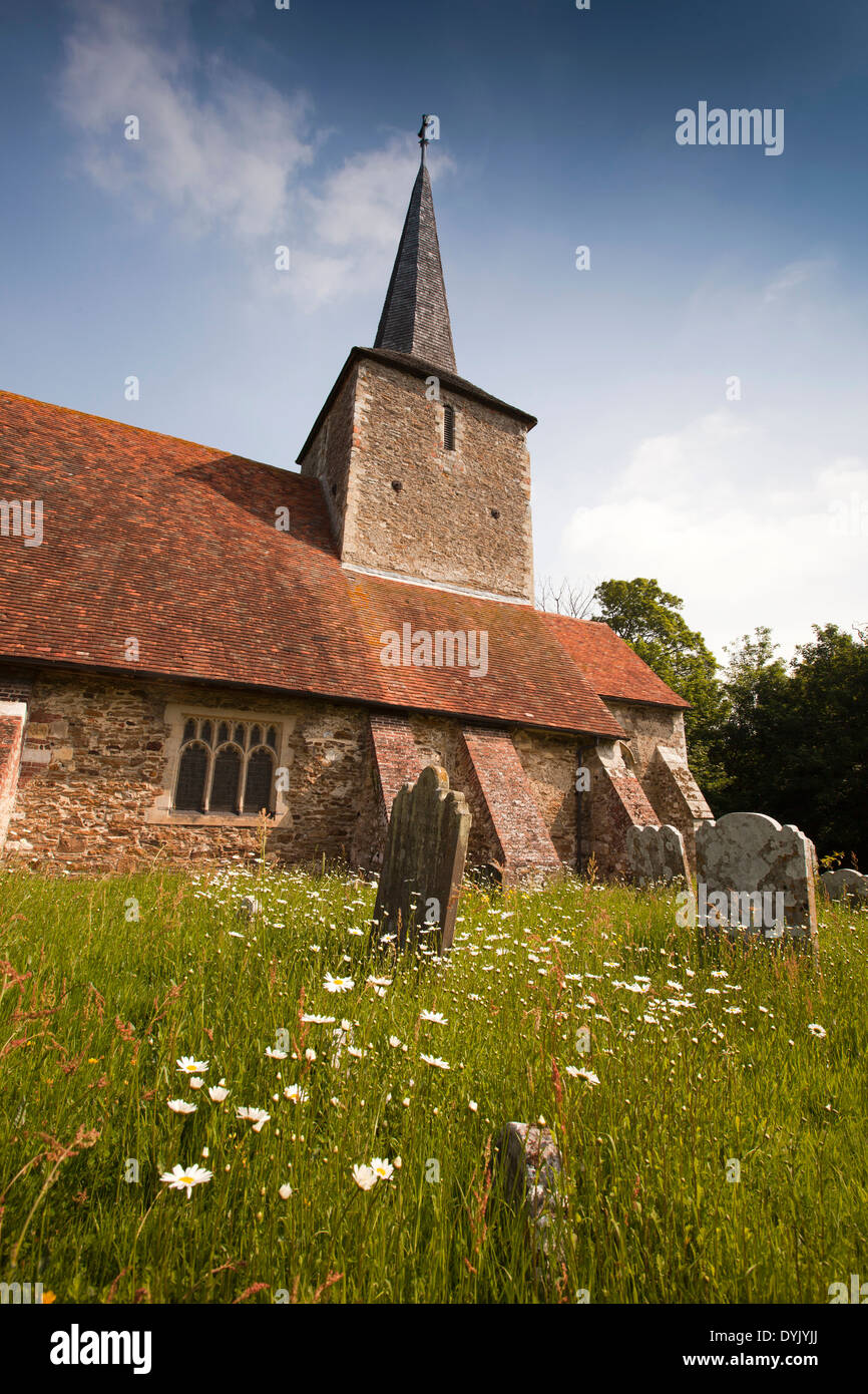 UK, England, East Sussex, Playden, C12th St Michael’s Church with wood ...