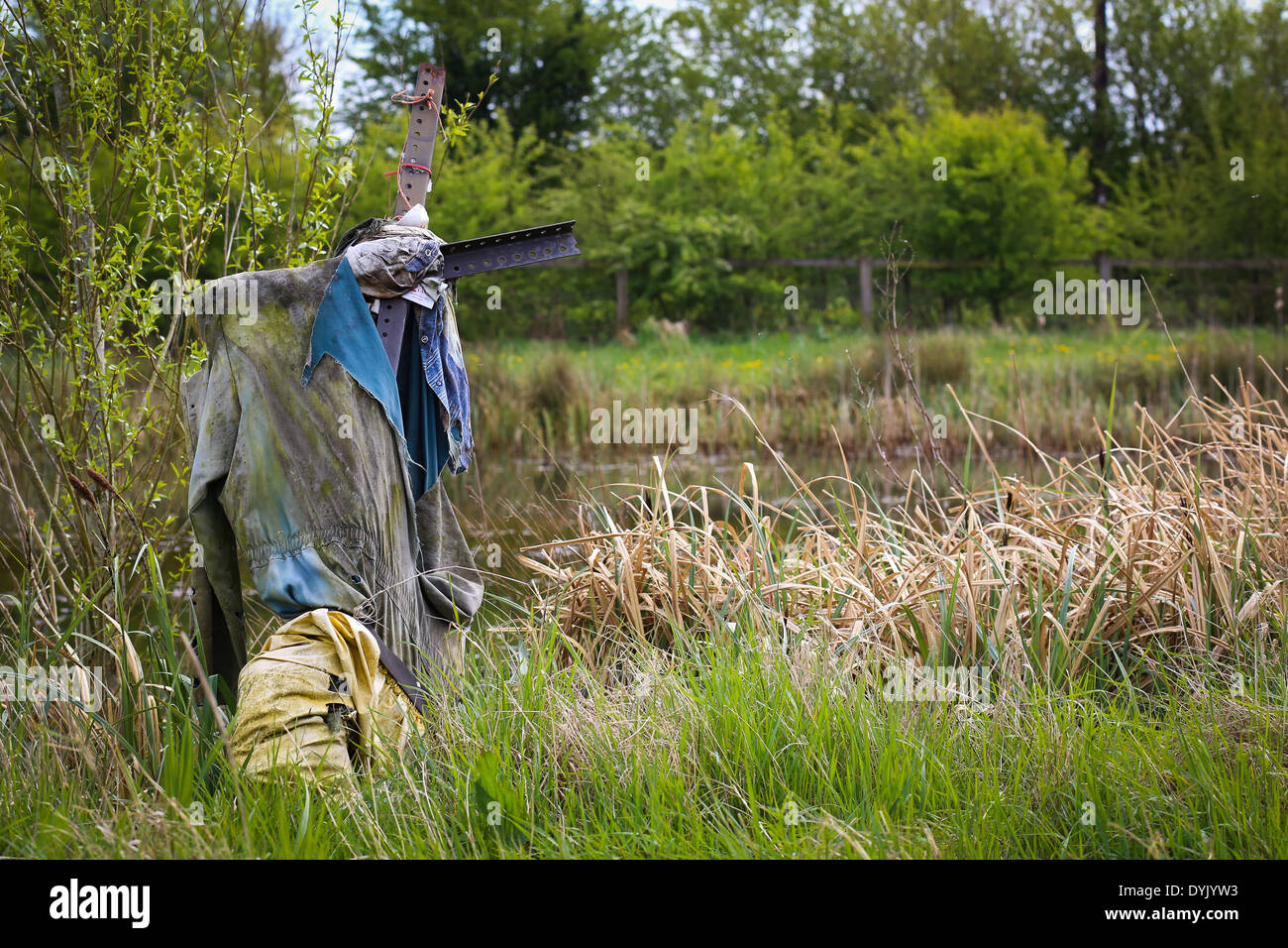 Old abandoned scarecrow near the pond green and dry grass Stock Photo ...