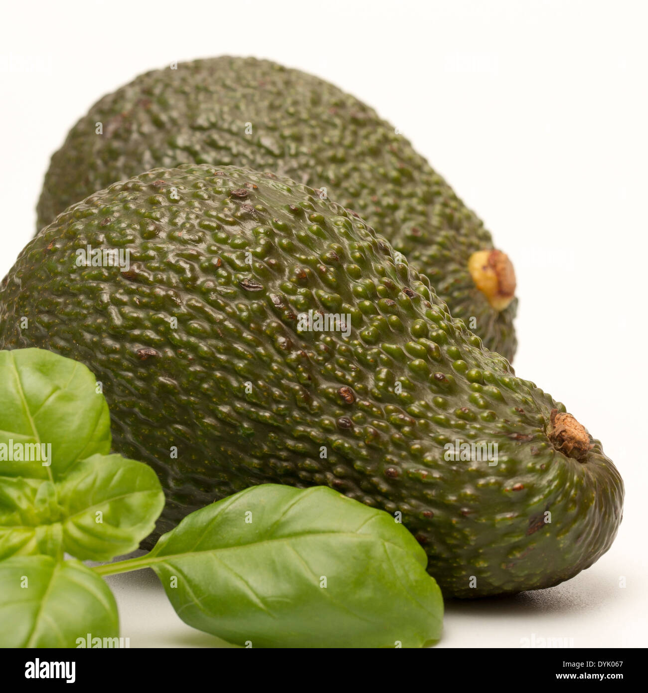 Avocado Pears isolated on a white background with a sprig of Basil ...