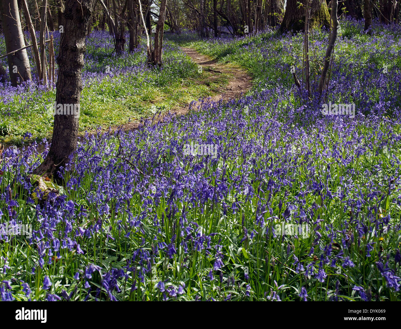 Bramdean spring hi-res stock photography and images - Alamy