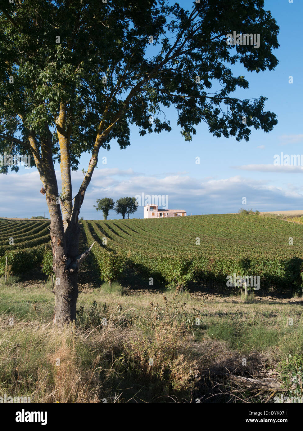 Southern french farmhouse hi-res stock photography and images - Alamy