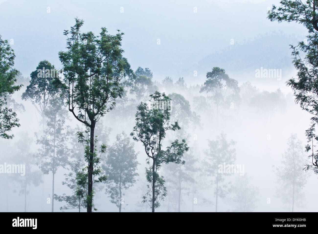 Wagamon hi-res stock photography and images - Alamy