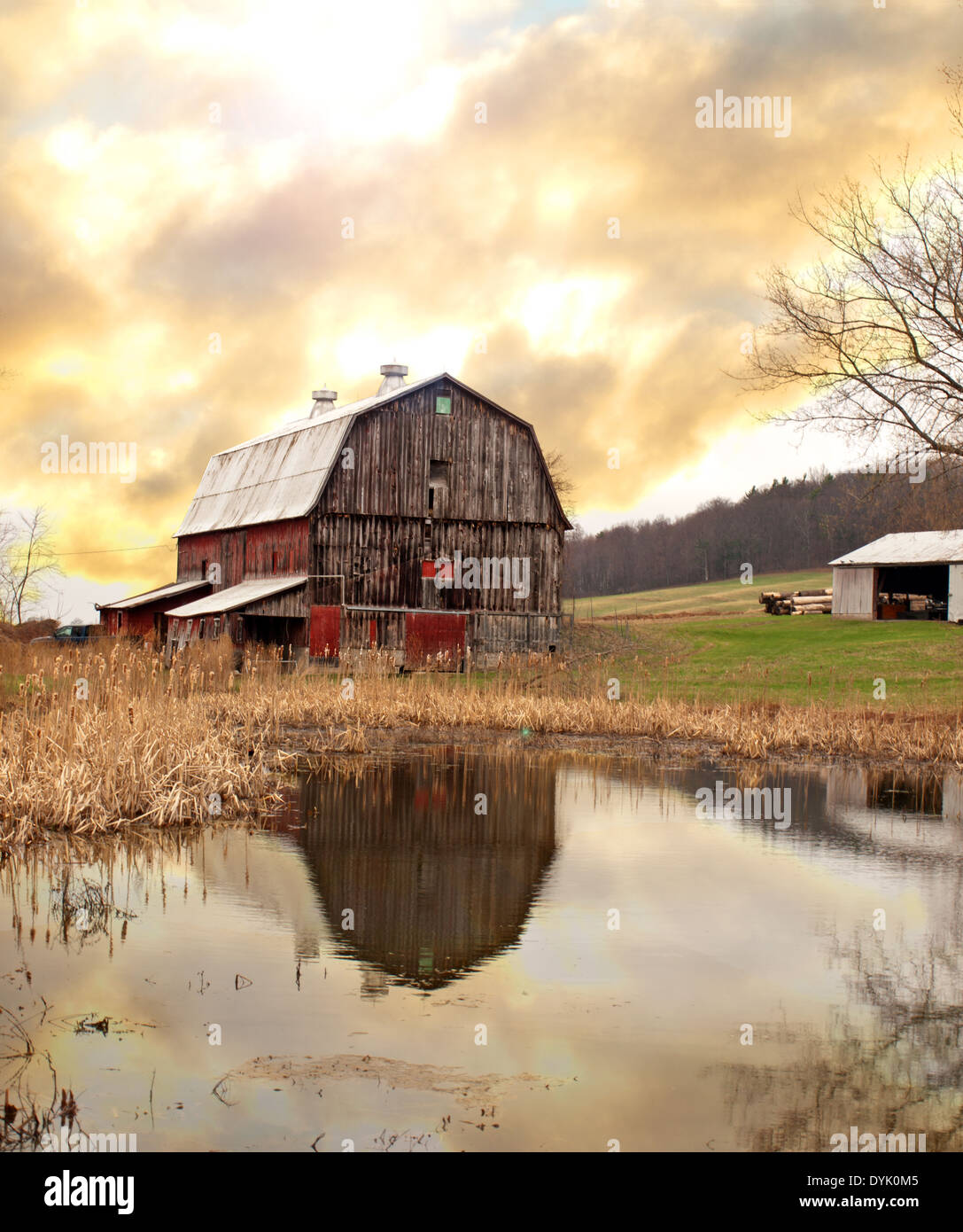barn with pond Stock Photo - Alamy