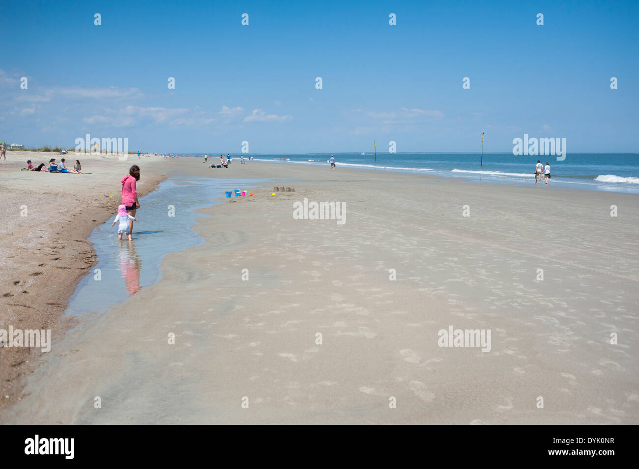 Savannah beach hi-res stock photography and images - Alamy