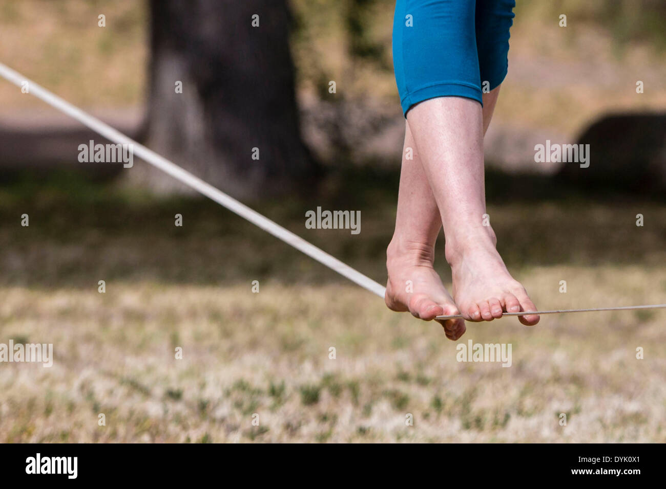 Laura bird hi-res stock photography and images - Alamy