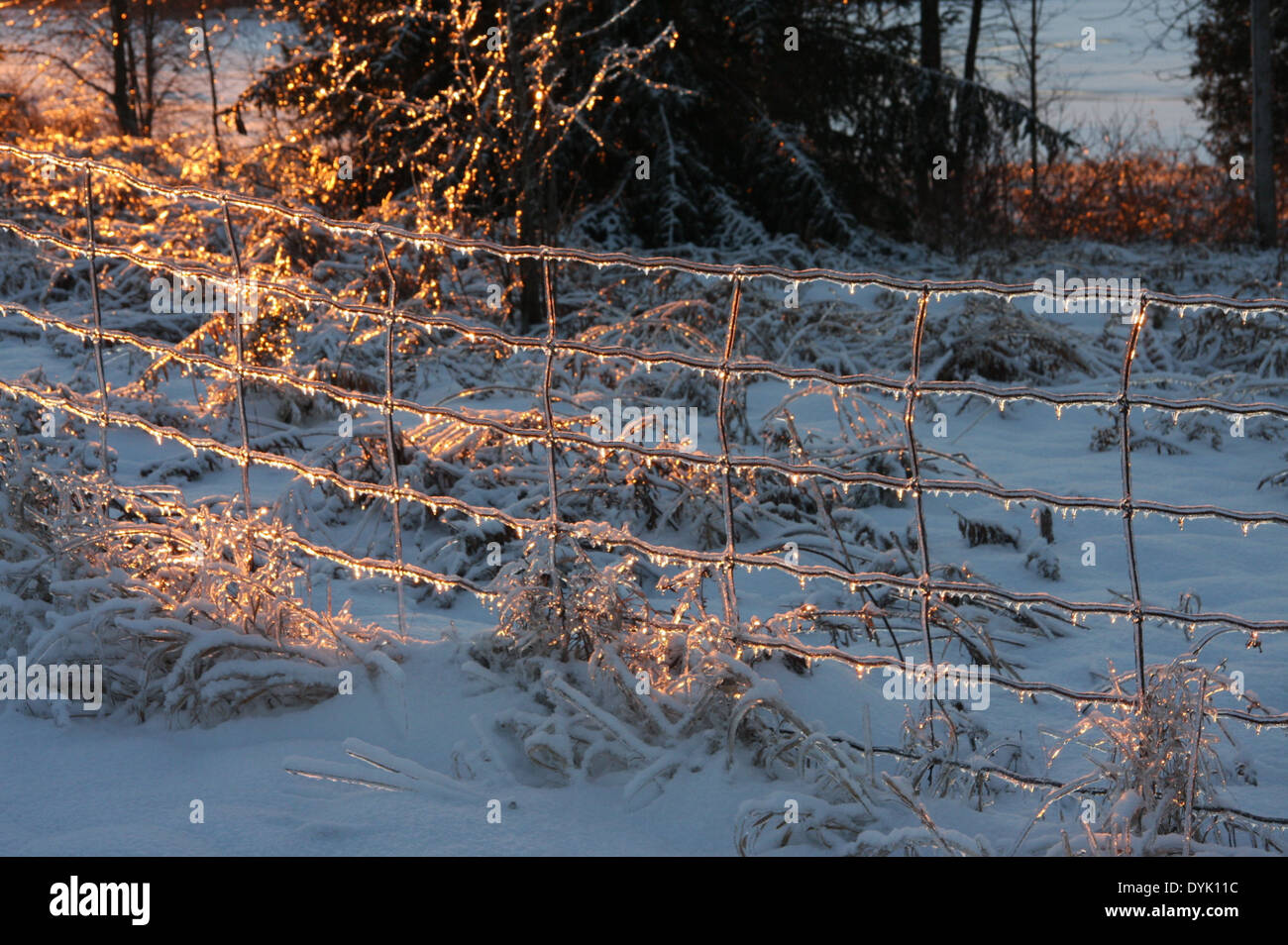 Ice on winter fence at sunset Stock Photo - Alamy