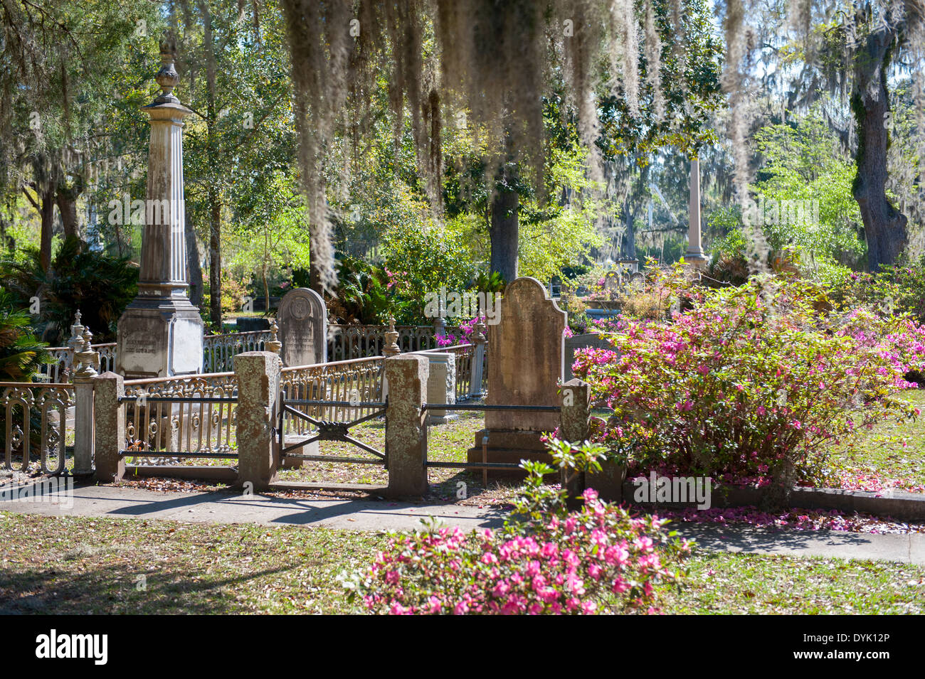 USA Georgia GA Savannah Bonaventure Cemetery historic old burial area ...