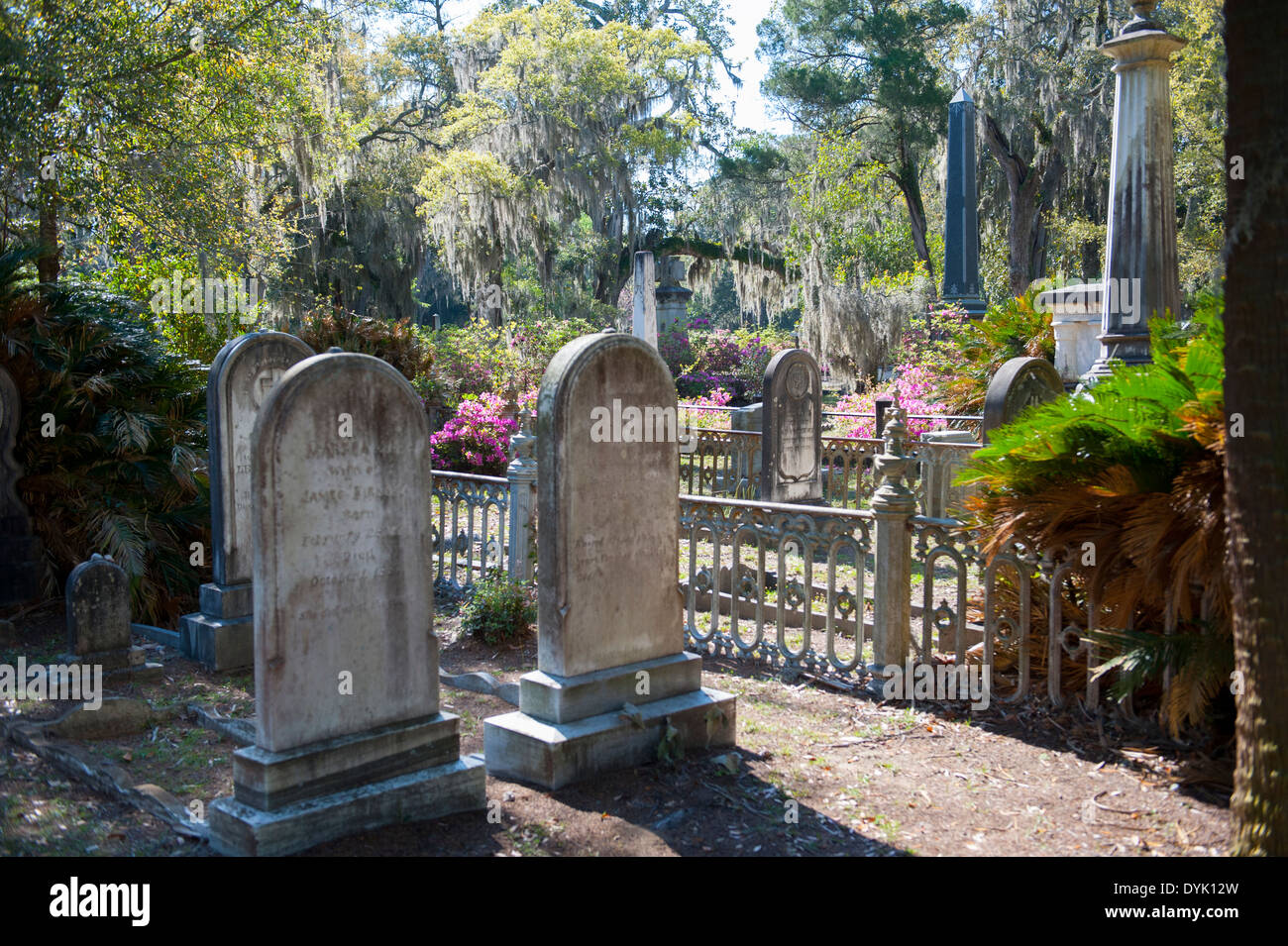 USA Georgia GA Savannah Bonaventure Cemetery historic old burial area ...