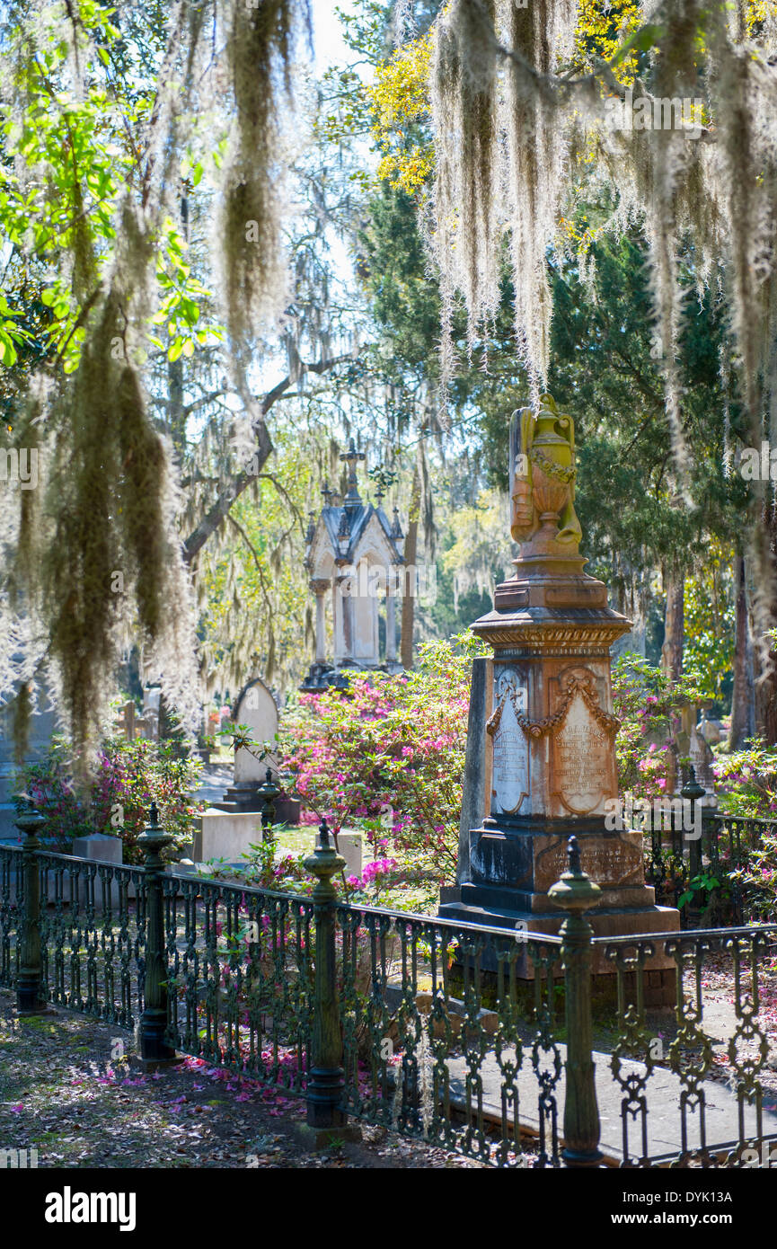 Bonaventure cemetery hi-res stock photography and images - Alamy