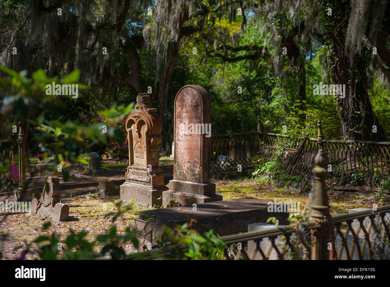 USA Georgia GA Savannah Bonaventure Cemetery historic old burial area ...