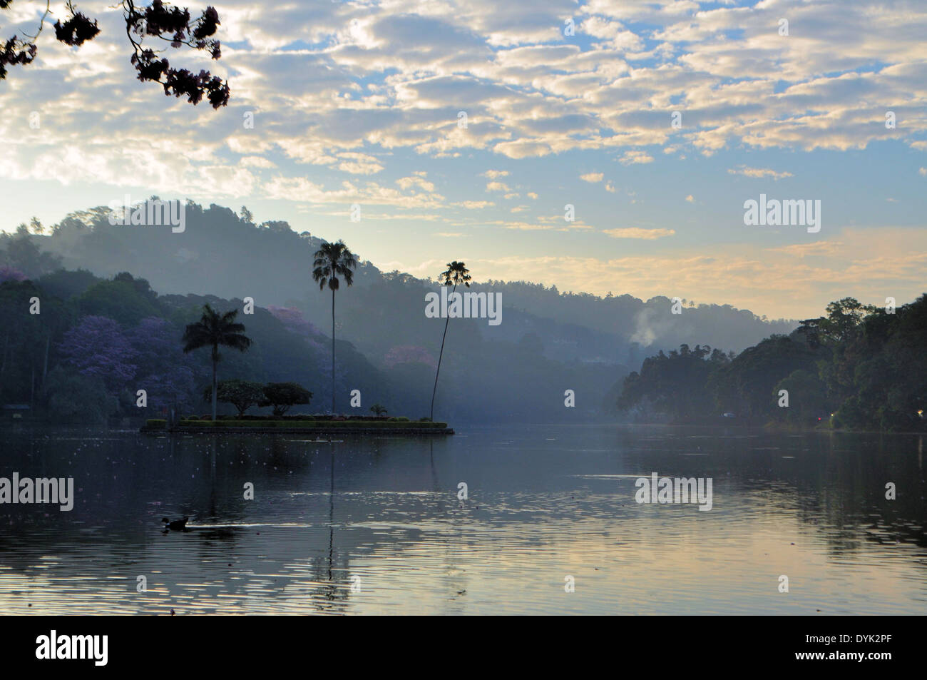 Kandy sri lanka green garden hi-res stock photography and images - Alamy