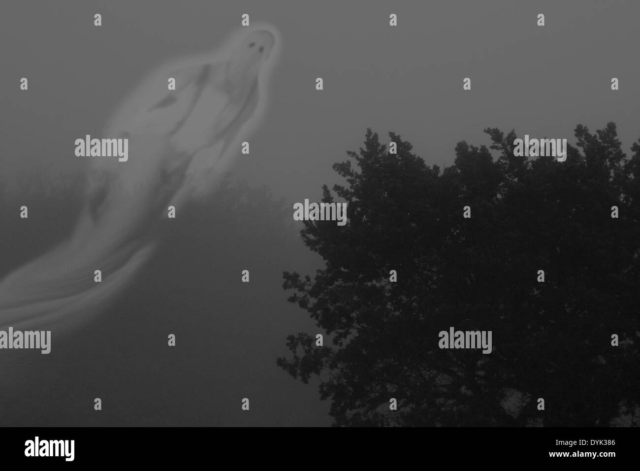 Ghost in fog Stock Photo - Alamy