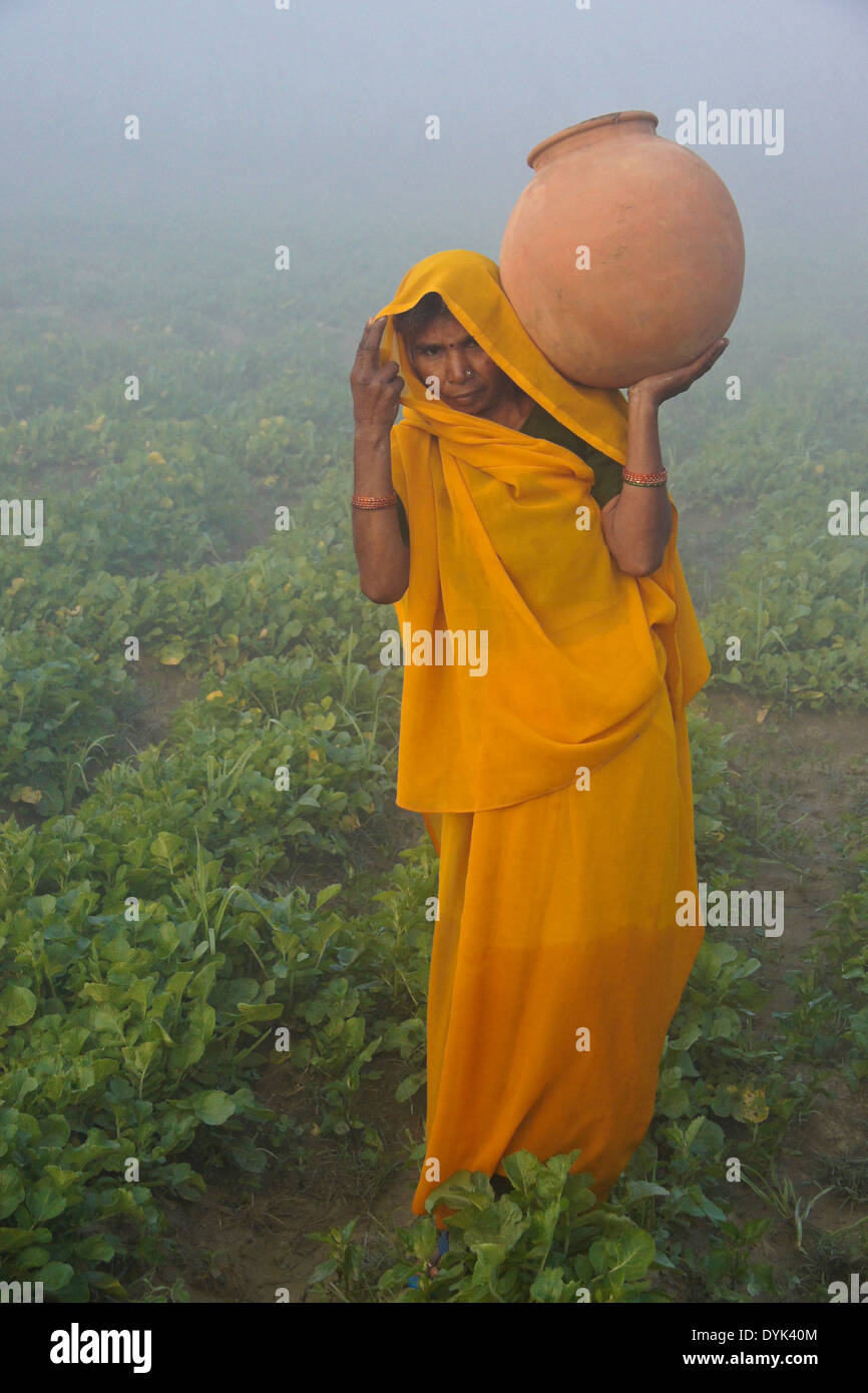 Indian woman carrying water pots hi-res stock photography and images ...