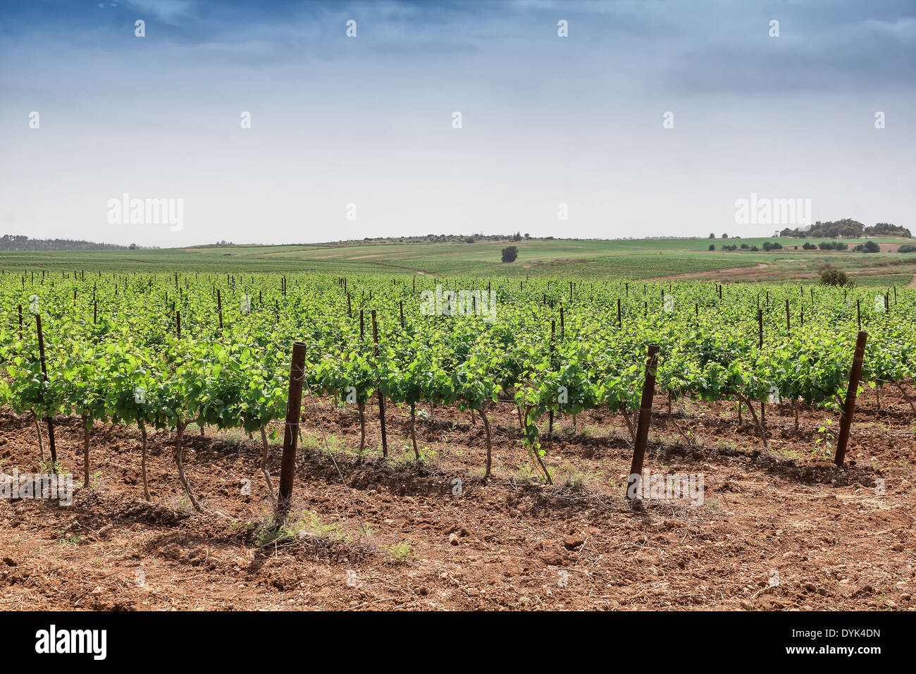 Spavin hi-res stock photography and images - Alamy