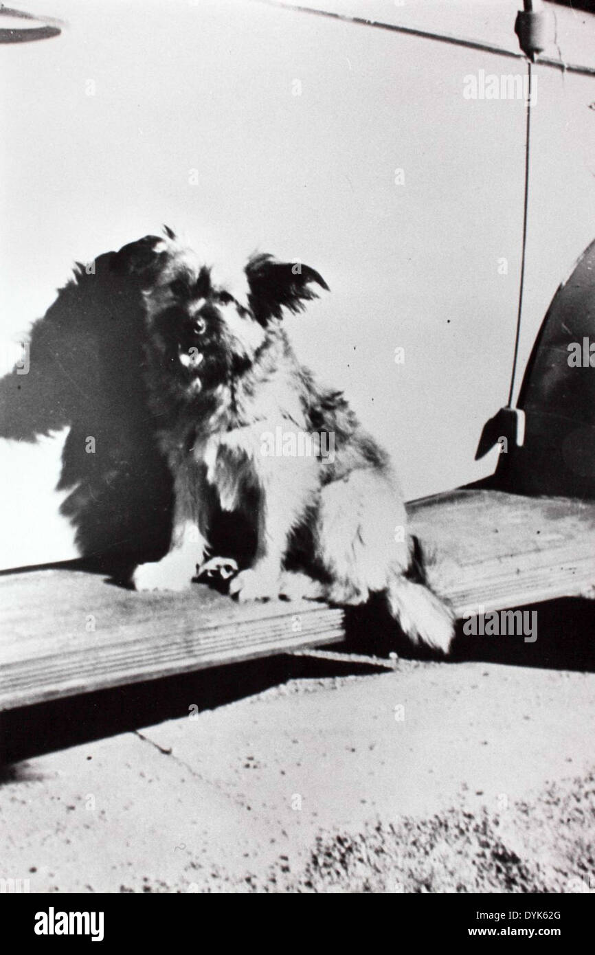 This image features a mascot from the 90th Bomb Group, known as the ...
