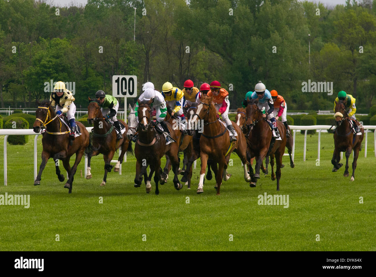 BRATISLAVA, SLOVAKIA, 20th April 2014. A group of jockeys and horses ...