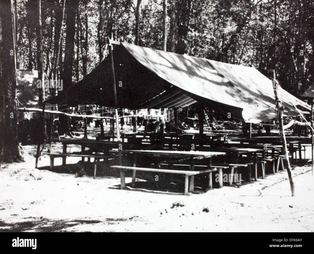 This photo from the 90th Bomb Group shows B-24 bombers of the Jolly ...