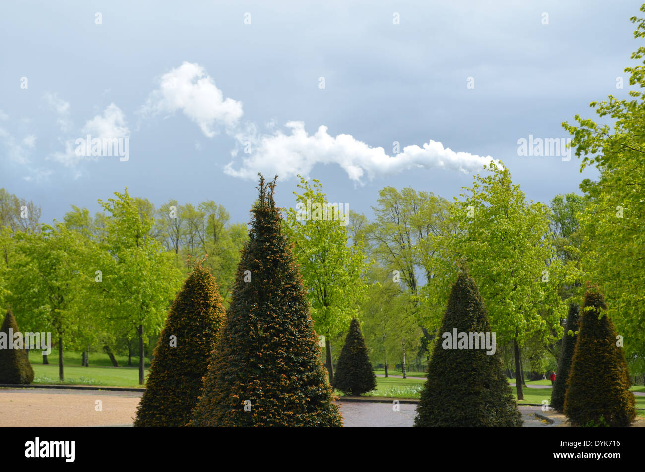The smoking tree. tree skyline on Glasgow Green Stock Photo - Alamy