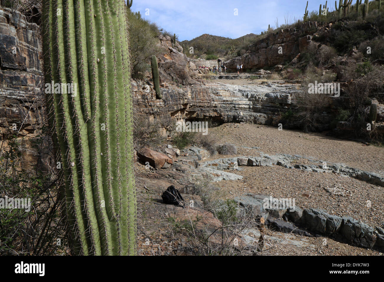 Desert Wash High Resolution Stock Photography and Images - Alamy