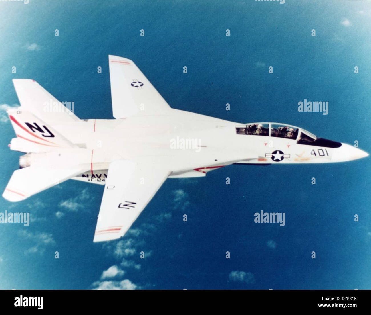 This image shows a Grumman F-14 Tomcat (F-14A variant) from VF-124 at ...