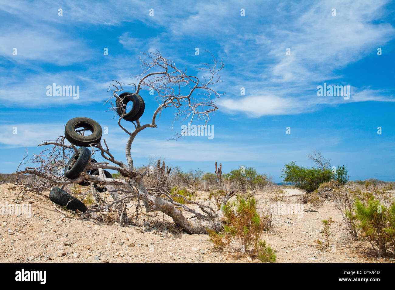 Non bizarre hi-res stock photography and images - Alamy