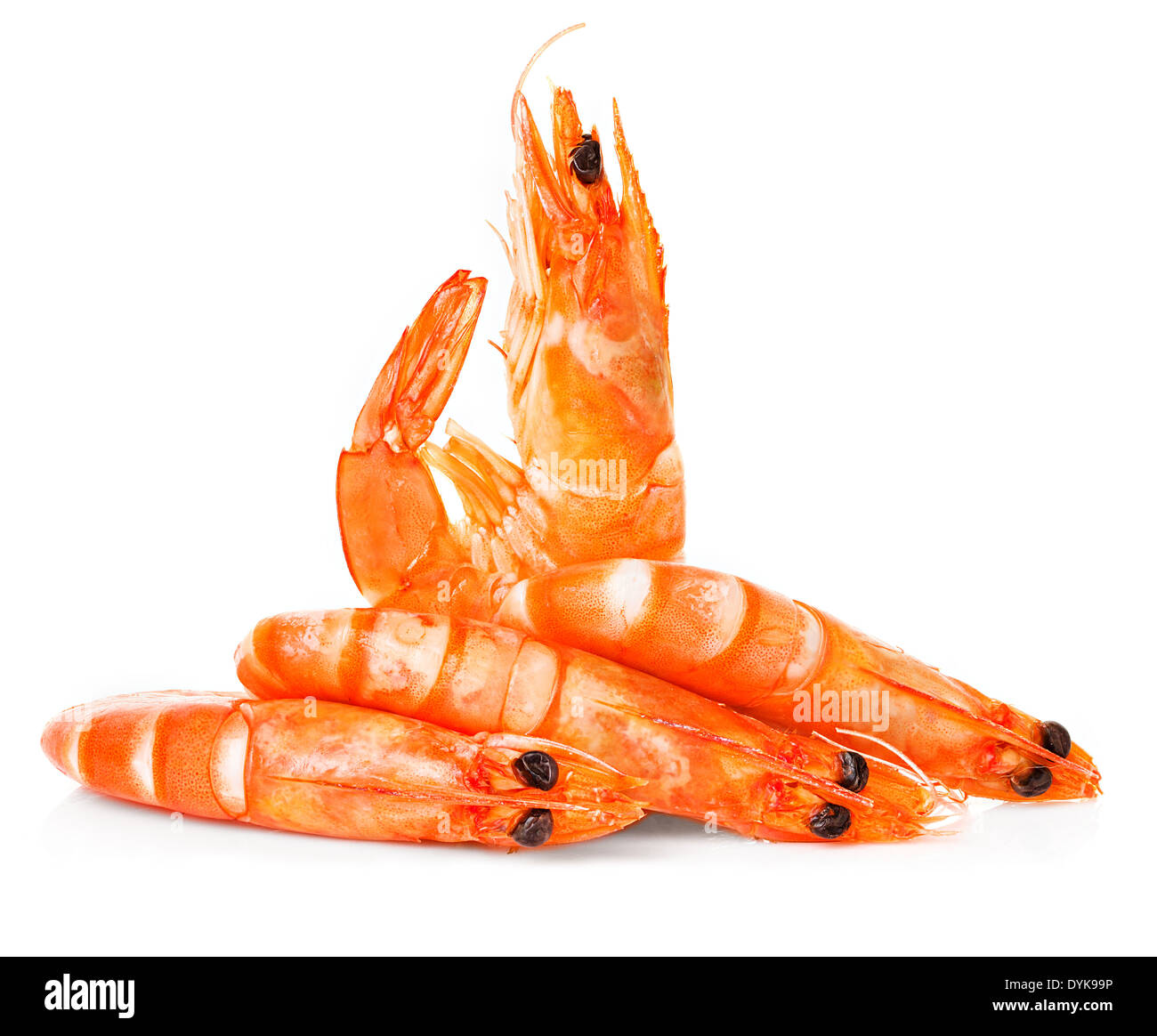 fresh shrimp close-up isolated on white background Stock Photo - Alamy