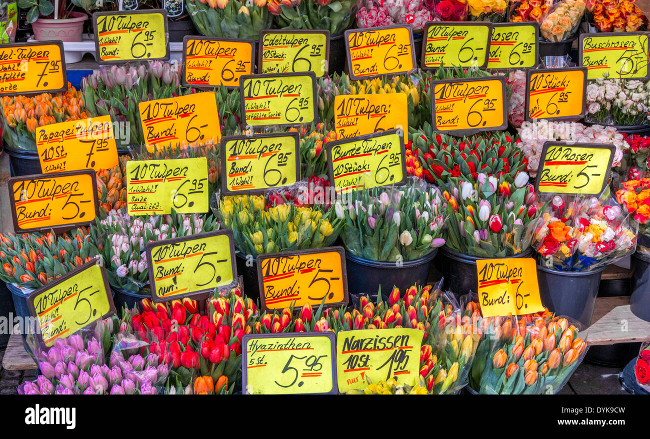 European flower hi-res stock photography and images - Alamy