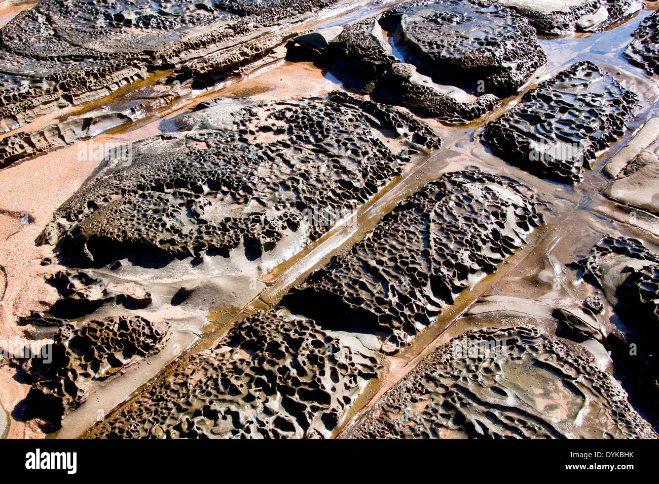 dimpled and rectangular pattern in rocks on seashore Stock Photo - Alamy