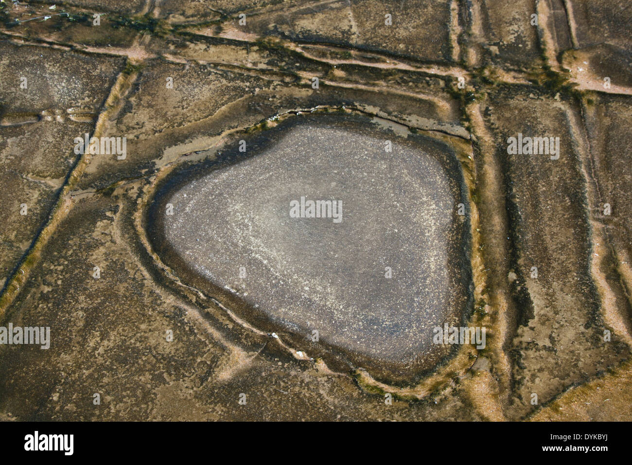 lunar crater looking circular pattern in rocks on seashore Stock Photo ...
