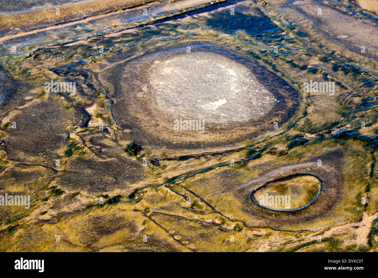 circular and square erosion patterns in Slimy seashore rock pools Stock ...