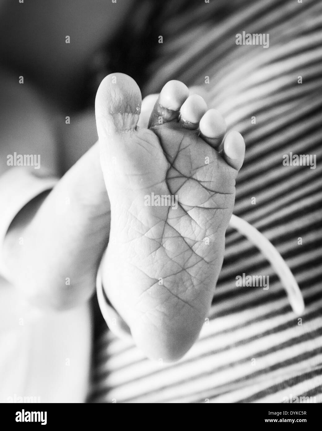 newborn baby boy's foot Stock Photo - Alamy