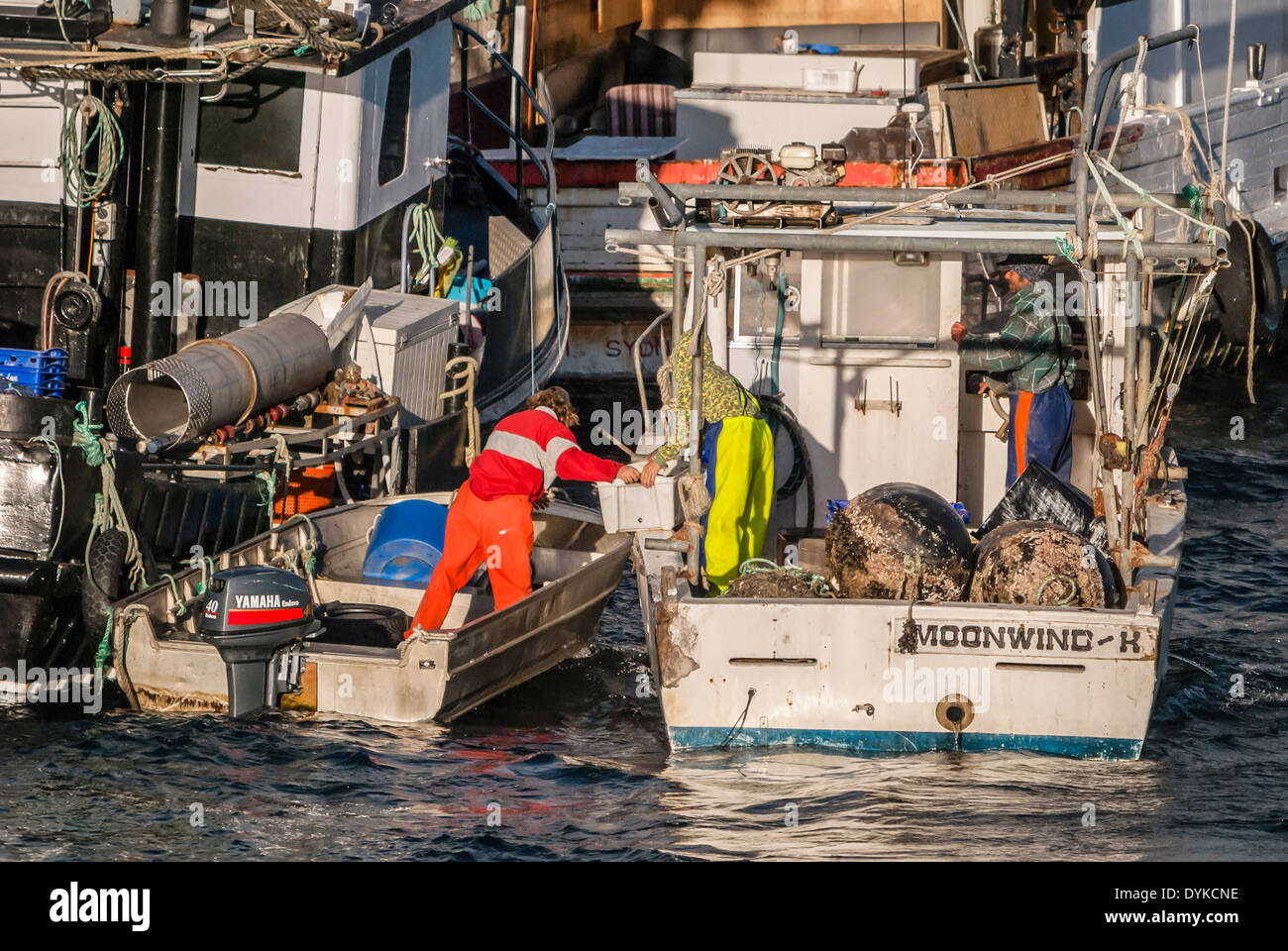 Fishermen unload the catch from a small fishing boat in port at Eden ...