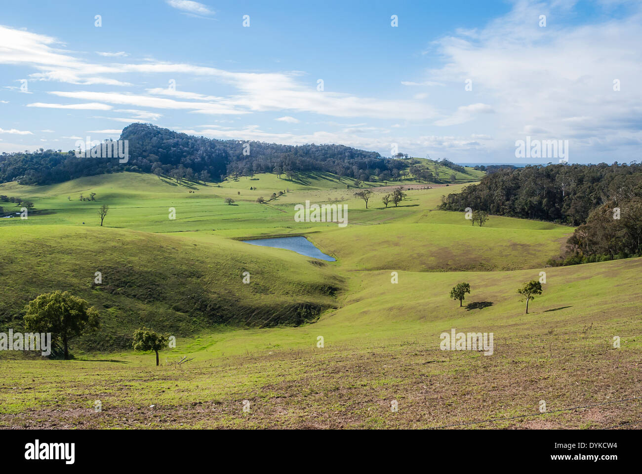 Beautiful pasture in rural country on the east coast of Australia Stock ...