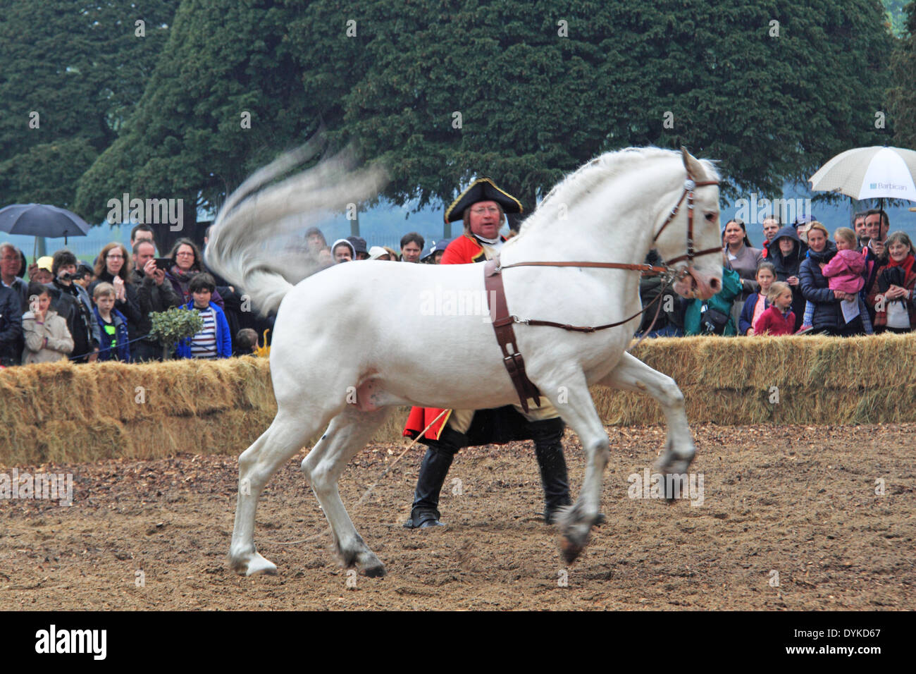 Sunday 20th April 2014. The White Horses of Hanover perform a horse ...