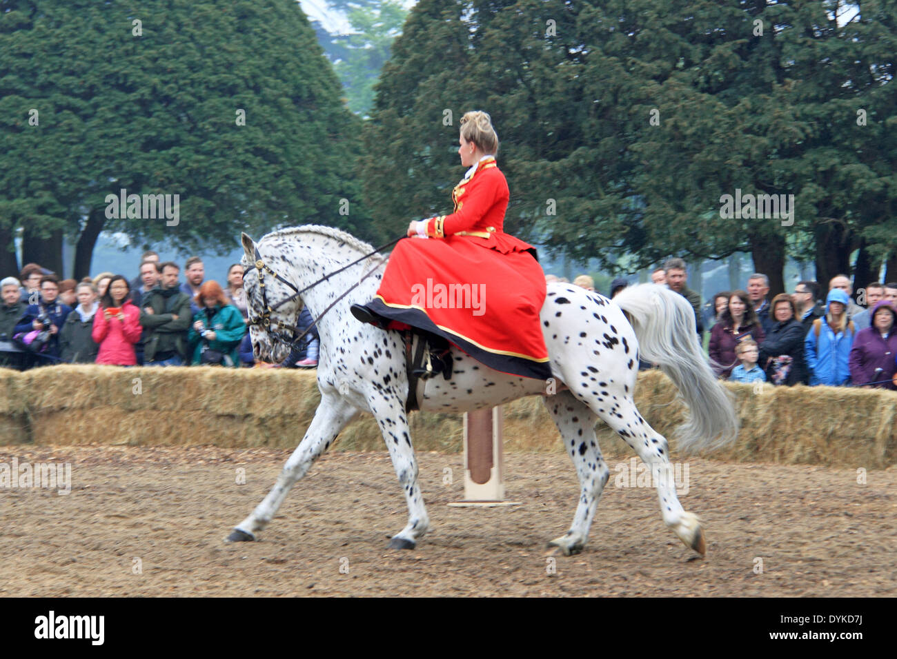 White horse of hanover hi-res stock photography and images - Alamy