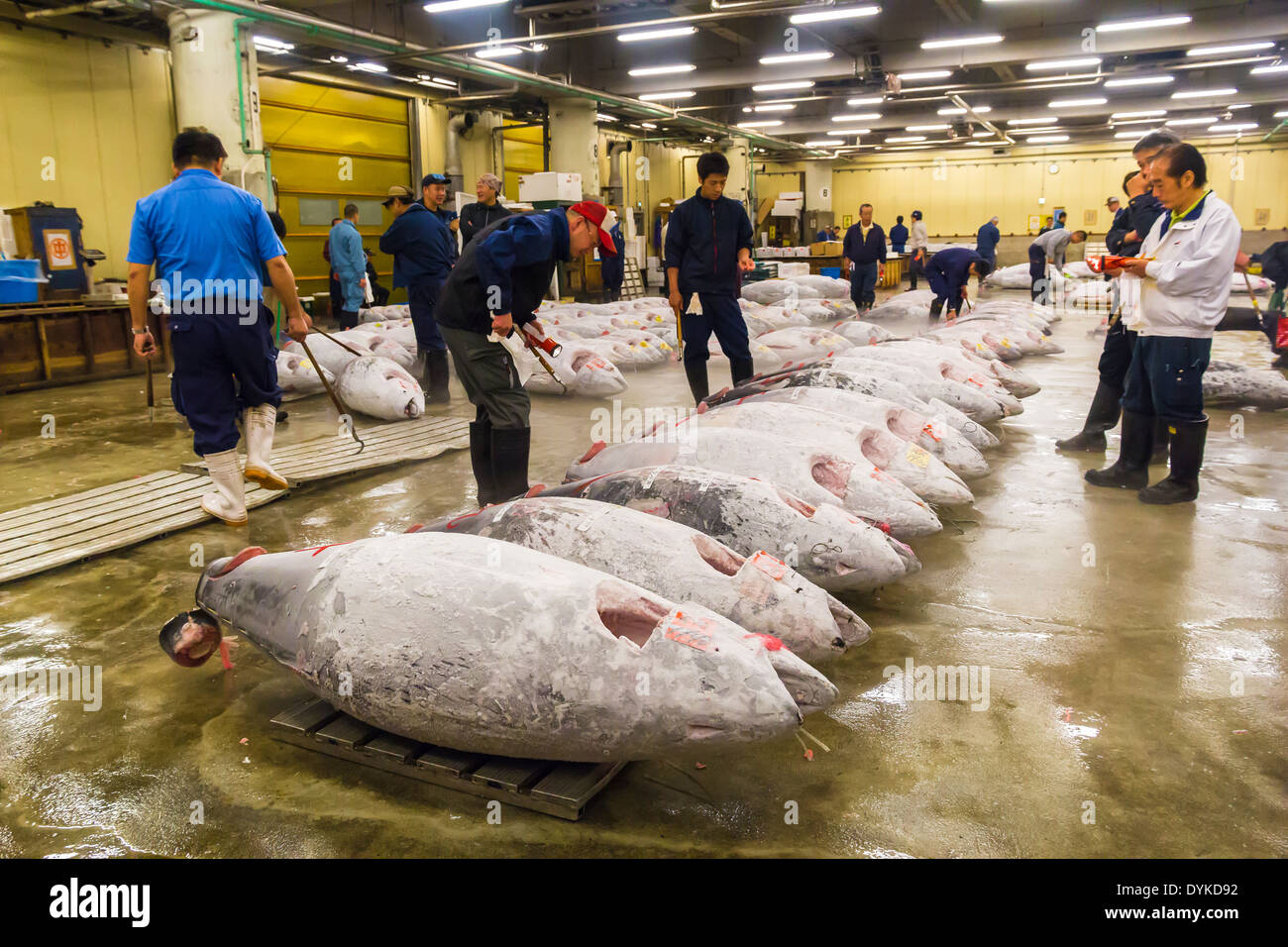 Tokyo tuna auction hi-res stock photography and images - Alamy