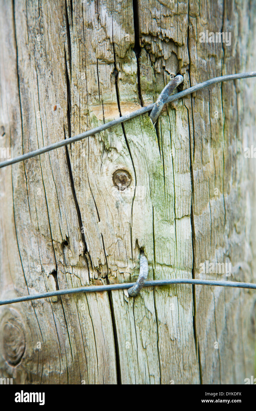 Wire fence stapled to wooden post Stock Photo - Alamy