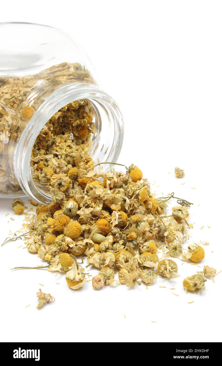 Closeup of dried chamomile, dried chamomile pouring out of glass jar ...