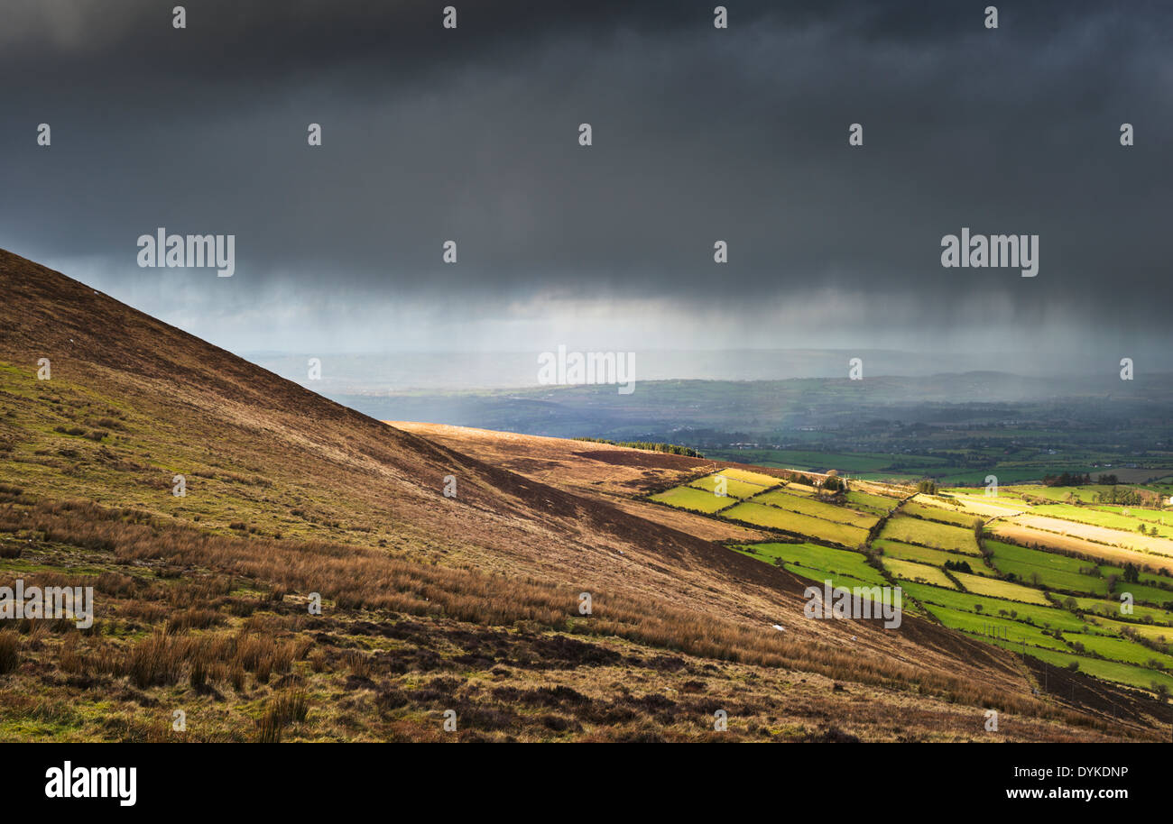 Winter landscape looking westwards over the heather-covered slopes of ...