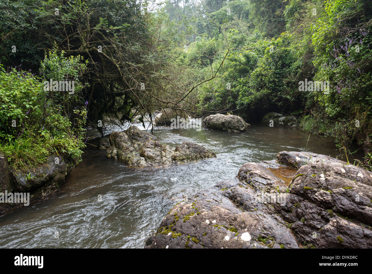 Rocks in river hi-res stock photography and images - Alamy