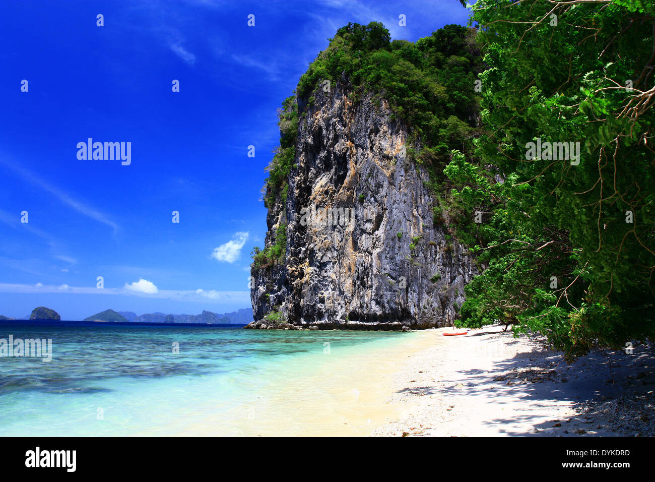 Palawan diving philippines hi-res stock photography and images - Alamy
