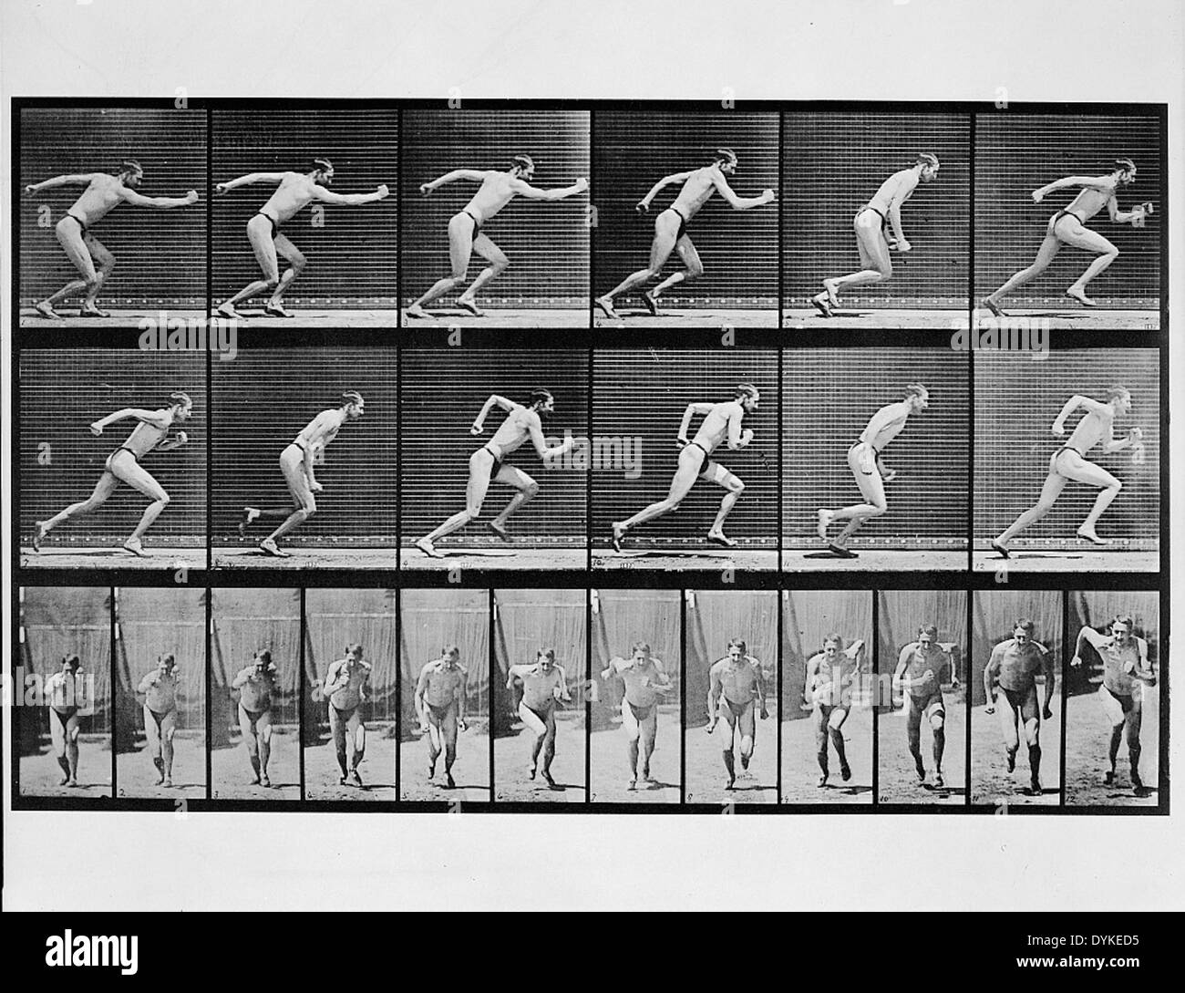 This series of images from the Library of Congress shows the study of ...