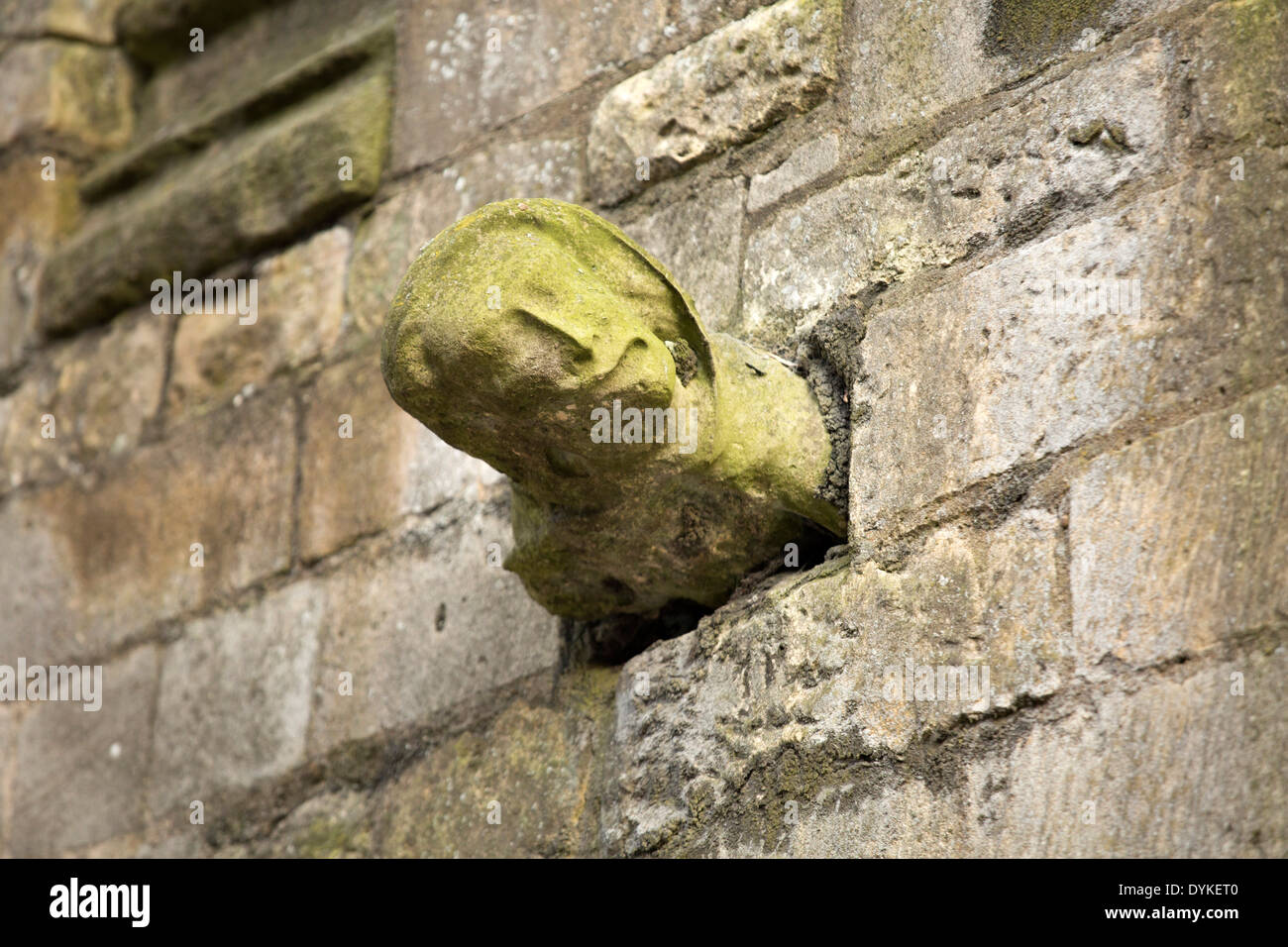 Pushing through hi-res stock photography and images - Alamy