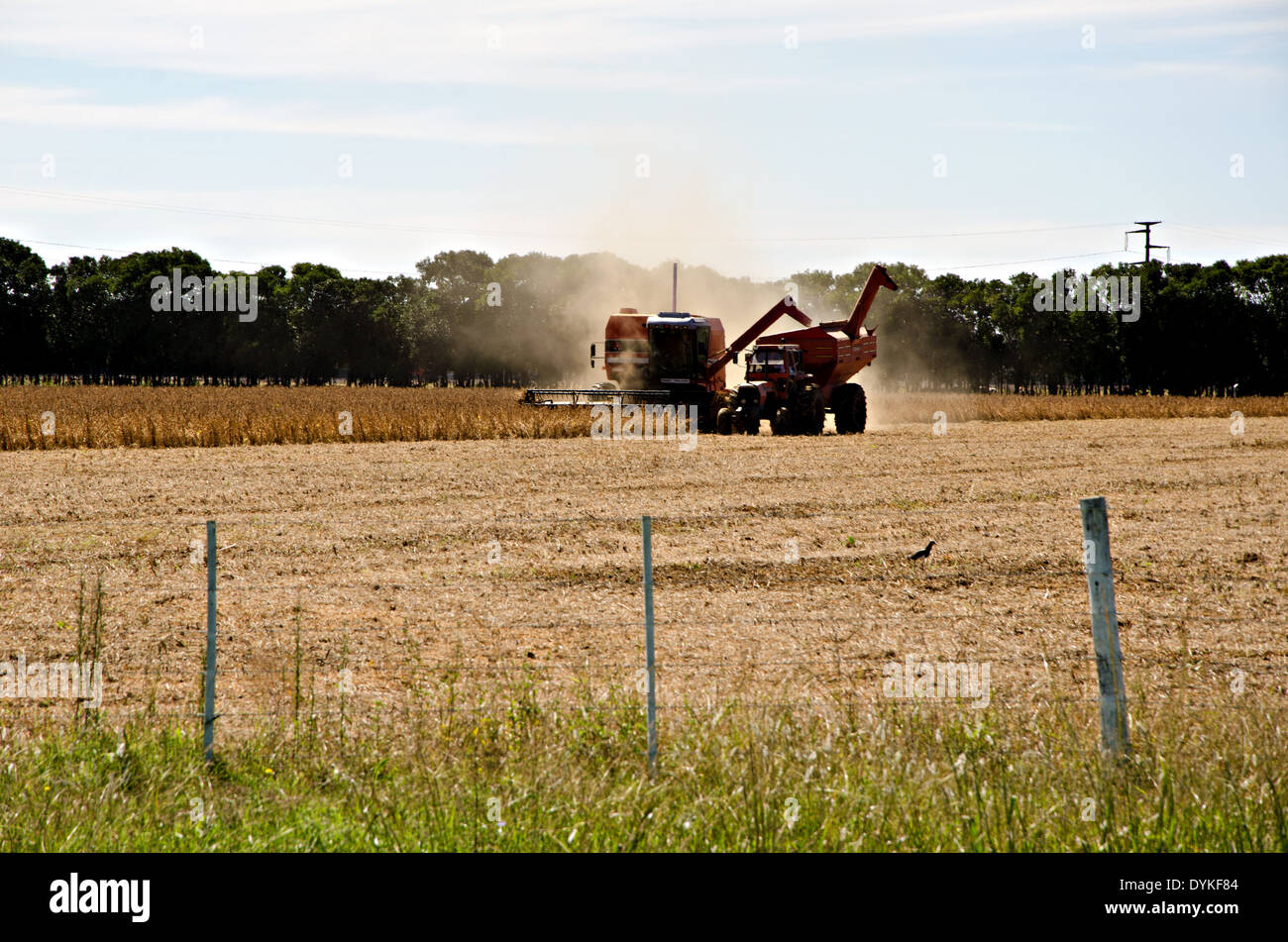 Combine machine hi-res stock photography and images - Alamy