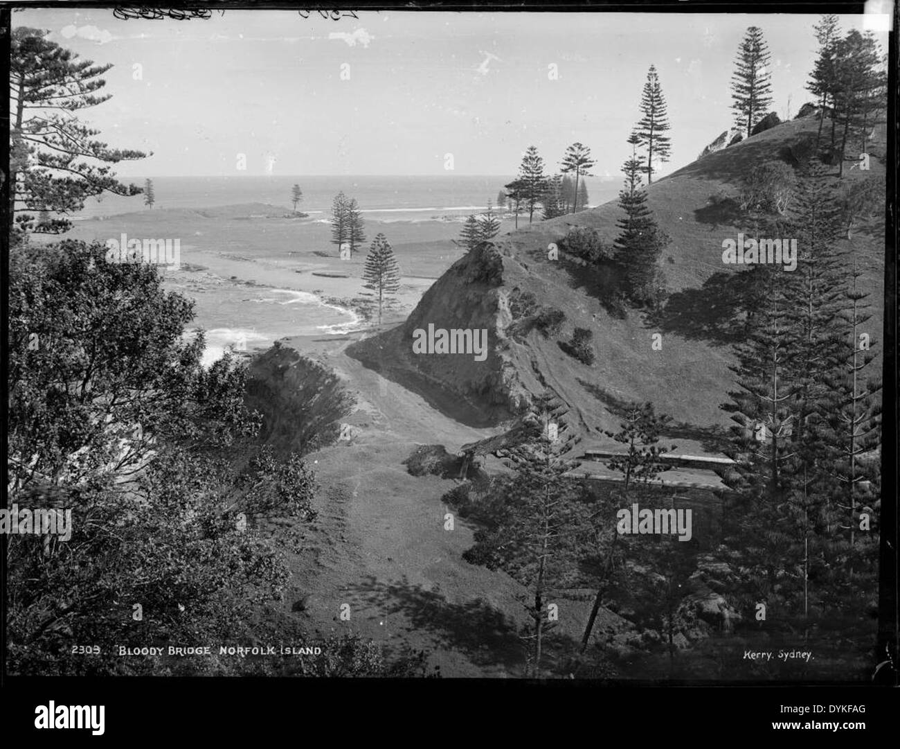 Bloody history hi-res stock photography and images - Alamy