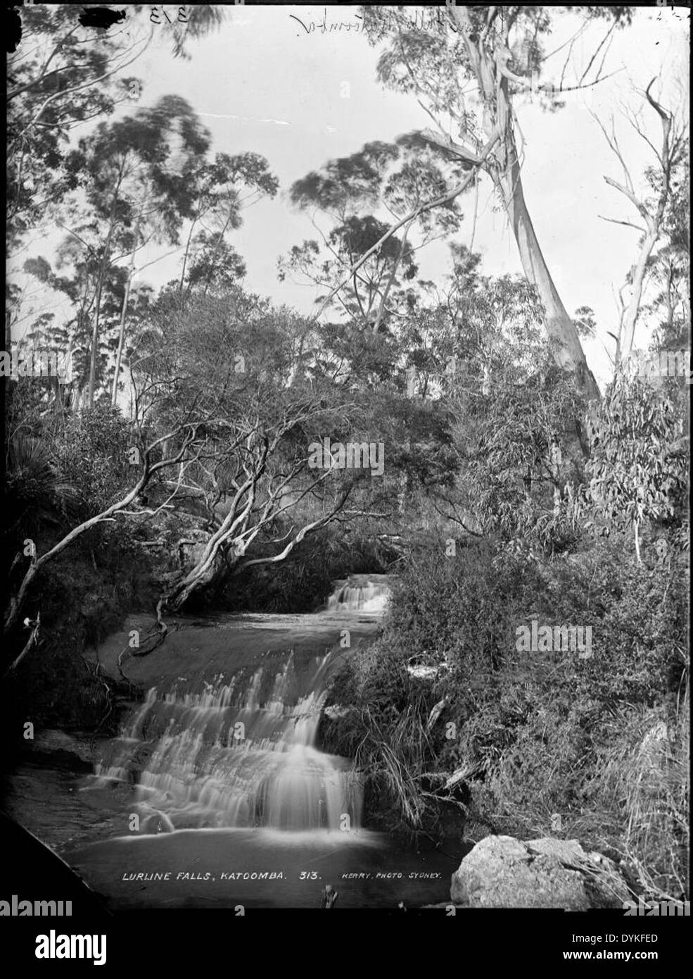 Lurline High Resolution Stock Photography and Images - Alamy