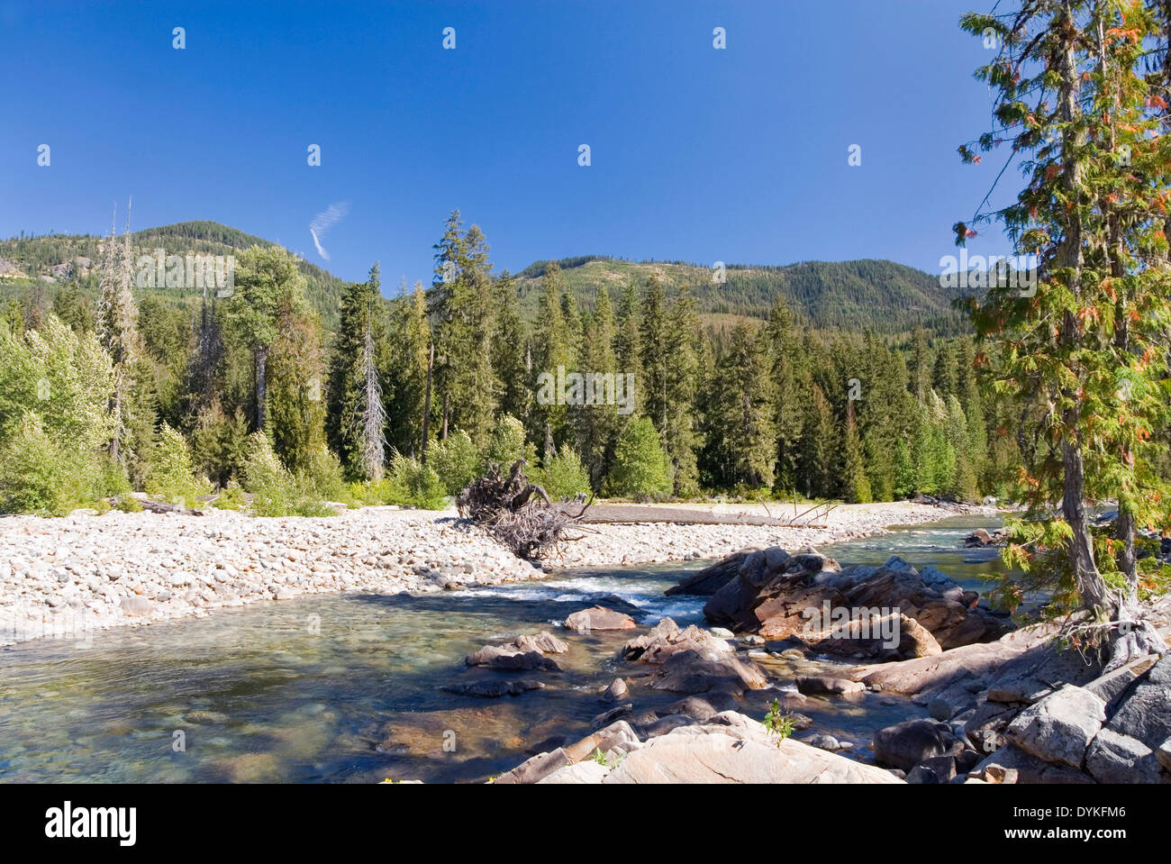 Salmon la Sac, Okanogan-Wenatchee National Forest, Washington State ...