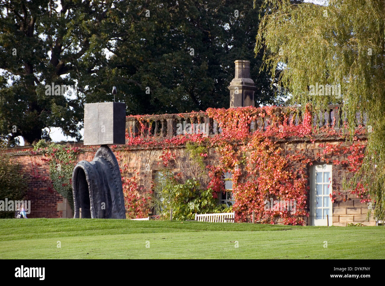 Yorkshire Sculpture Park, YSP, UK, Oct 2012: red ivy covers the wall of ...