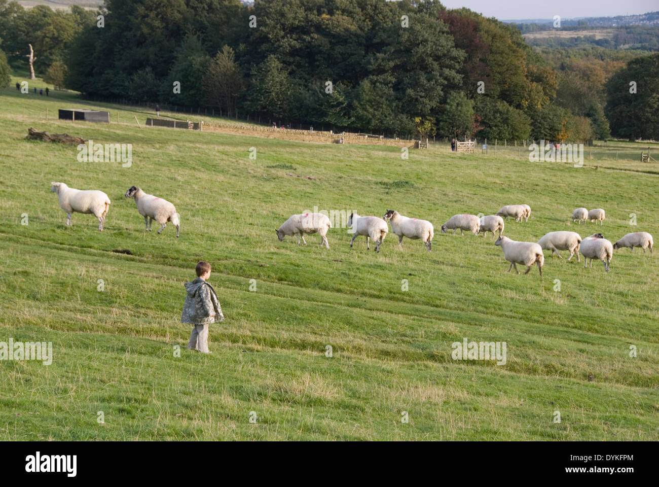 Yorkshire Sculpture Park, YSP, Wakefield, UK, 7 Oct 2012: Young boy ...